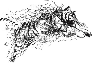 Tiger Hand Draw Vector Images (over 4,200)