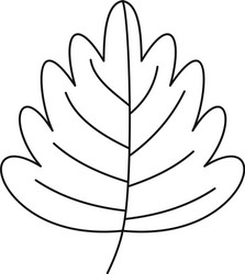 Autumn leaf icon outline style Royalty Free Vector Image