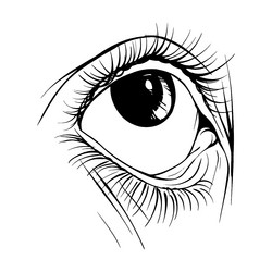 Beautiful hand drawn sketch eye line art Vector Image