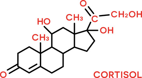 Molecular structure of cortisol Royalty Free Vector Image