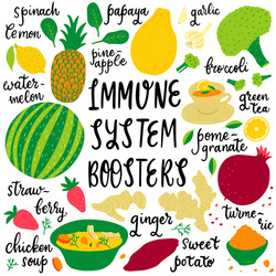 Human health immune system boosters Royalty Free Vector