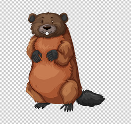 Beaver Transparent Vector Images (30)