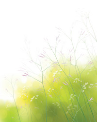 Spring flowers background Royalty Free Vector Image