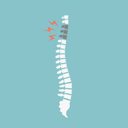 Back Pain Logo Vector Images (over 3,800)