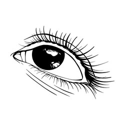 Beautiful hand drawn sketch eye line art Vector Image