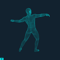 3d wireframe human body t-pose front view Vector Image