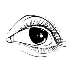 Beautiful hand drawn sketch eye line art Vector Image