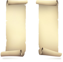 Realistic open parchment scroll on transparent Vector Image
