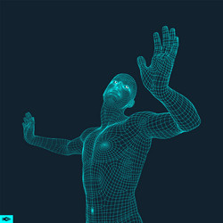 Human Body Wire Mesh Vector Images (over 440)