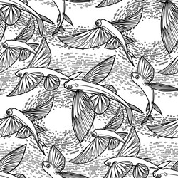 Graphic flying fish collection Royalty Free Vector Image