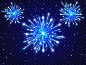 Bright firework color neon firework in the night Vector Image