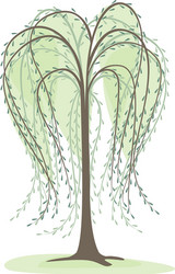 Willow Vector Images (over 7,900)