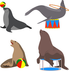 Isometric circus seals Royalty Free Vector Image