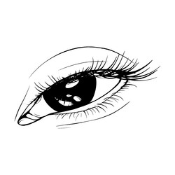 Beautiful hand drawn sketch eye line art Vector Image