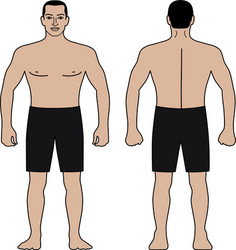 Figure man Royalty Free Vector Image - VectorStock