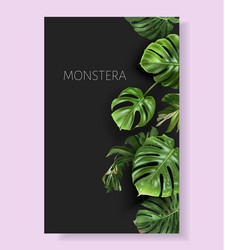 Monstera Border Vector Images (over 2,300)