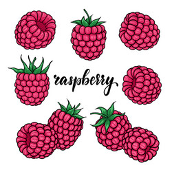 Raspberry icons set cartoon sweet food Royalty Free Vector