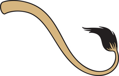 Tail Vector Images (over 170,000)