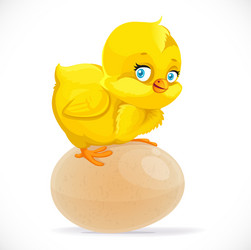 Cute yellow cartoon baby chicken Royalty Free Vector Image