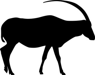 Gemsbok Vector Images (78)