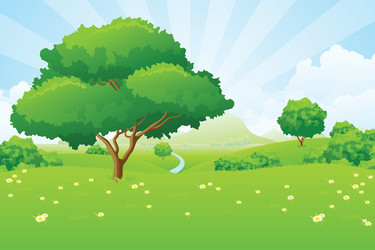 Forest landscape with beautiful nature background Vector Image