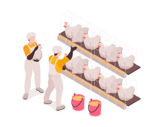 Poultry farm isometric flowchart Royalty Free Vector Image