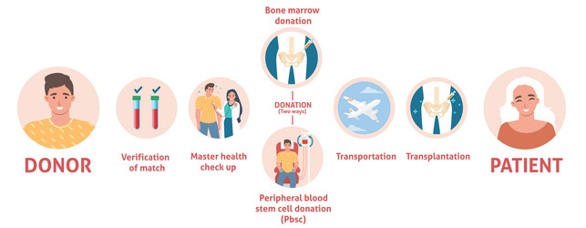 Volunteers donating blood bone marrow and organs Vector Image