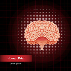 Empty Brain Vector Images (over 1,100)