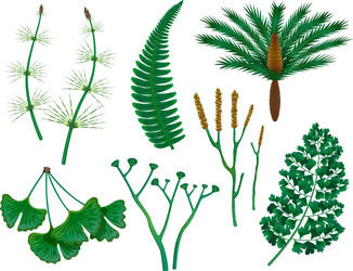 Different Plants Vector Images (over 21,000)