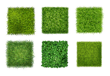 Grass square 3d beautiful green grassy field Vector Image