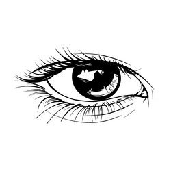 Beautiful hand drawn sketch eye line art Vector Image
