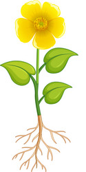 Plant Roots Cartoon Vector Images (over 10,000)