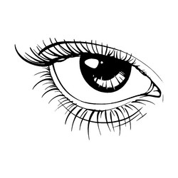 Beautiful hand drawn sketch eye line art Vector Image