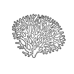 Coral Line Drawing Vector Images (over 3,300)