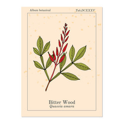 Bitter Symbol Vector Images (over 3,500)