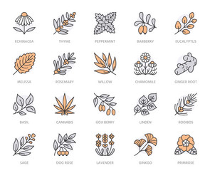 Medical Plants Vector Images (over 77,000)