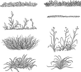 Field flowers and grass landscape set line art Vector Image