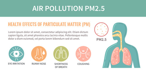 Air pollution particles infographics Royalty Free Vector