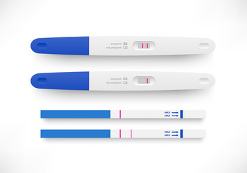 Pregnancy or ovulation positive and negative test Vector Image