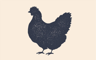 Vintage Chicken Vector Images (over 16,000)