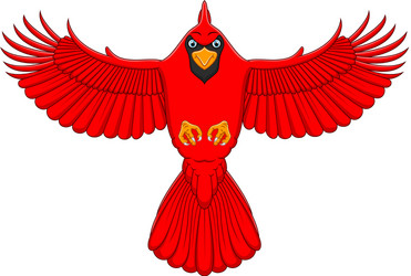 Flying Cardinal Cartoon Vector Images (over 340)