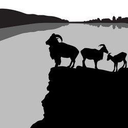 Sheep Vector Images (over 50,000)
