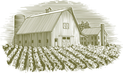 Barn Vector Images (over 38,000)