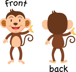 Front and back Royalty Free Vector Image - VectorStock