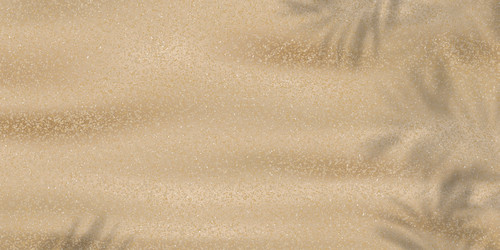 Sand beach texture background with palm leaf Vector Image