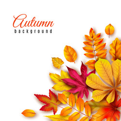 Fall leaves banner autumn border paper cut Vector Image