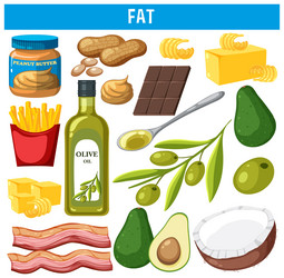 Variety of fat foods Royalty Free Vector Image