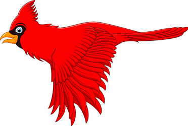 Flying Cardinal Cartoon Vector Images (over 340)