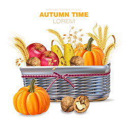 Pumpkins and apples in a basket autumn season Vector Image