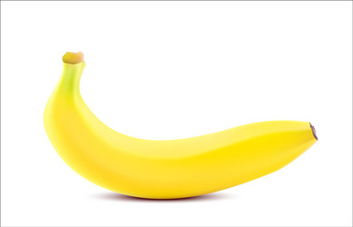 Fruit Royalty Free Vector Image - VectorStock